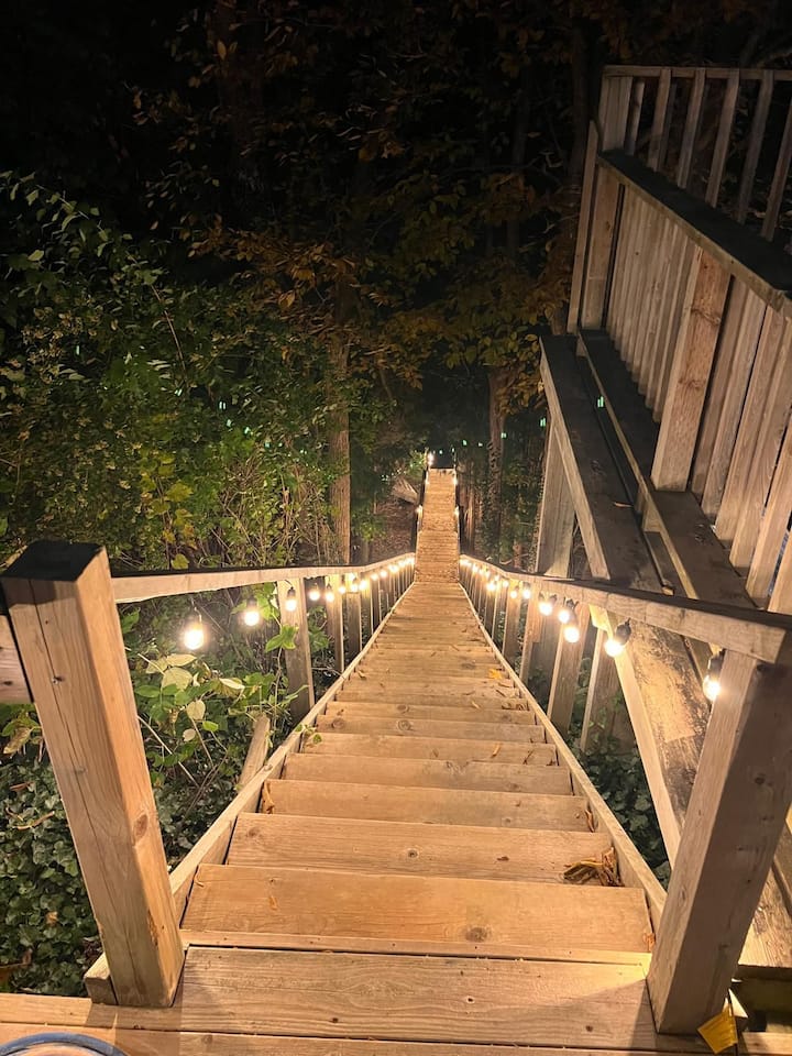 Southampton Waterfront Retreat | Forest Views - Port Elgin