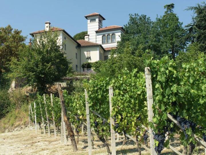 Wohnung Mit Schwimmbad By Interhome - Piémont