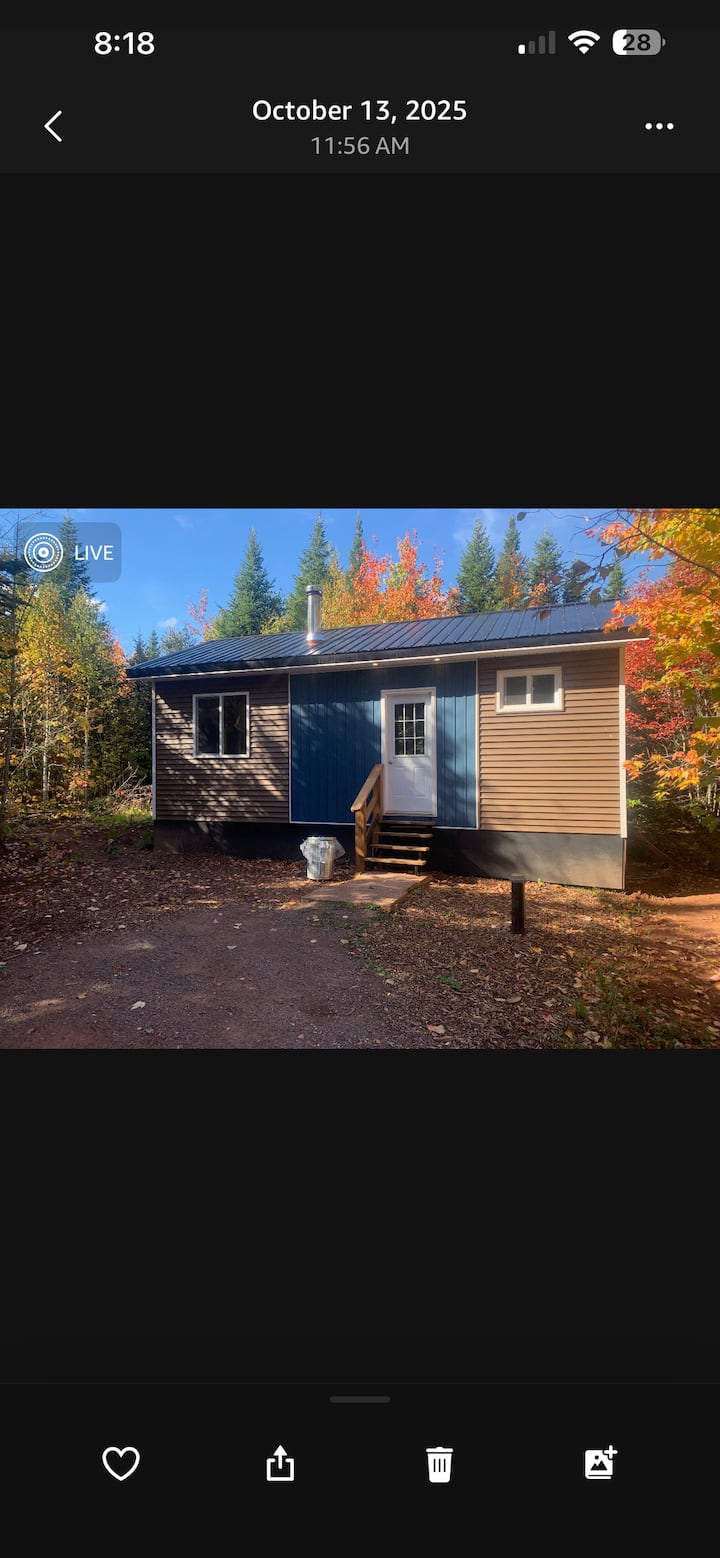 Little Cabin Oasis In The Woods. - Prince Edward Island