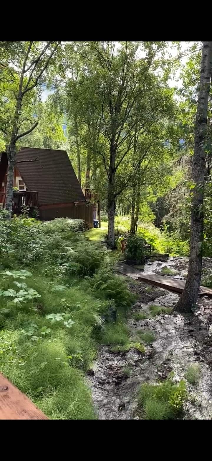 Charming A Frame Cabin In Indian Valley - Alaska