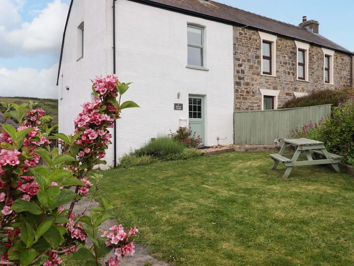 8 Millmoor Farm Cottage - Little Haven