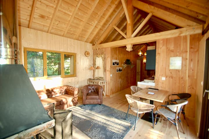 Le Chalet Du Pic De La Gentiane - Laruns