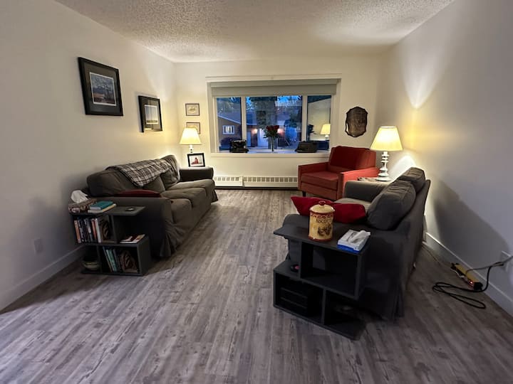 Luxury Furnished Downtown 2 Bedroom Apartment - Yorkton