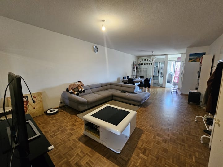 Appartement Au Cœur De Genève. - Genève