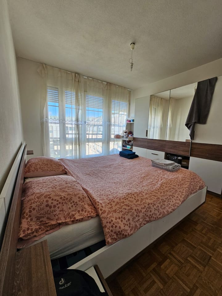 Appartement Au Cœur De Genève. - Genève