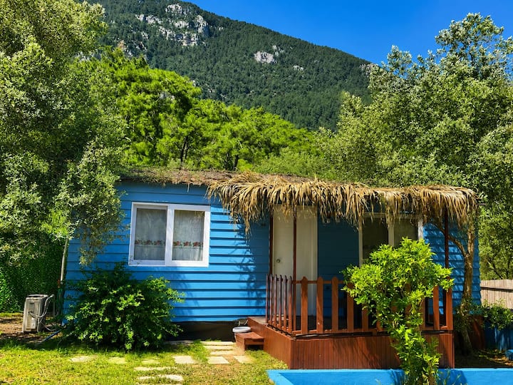 Blue Pine Akyaka Dağ Evi -  S - Akyaka