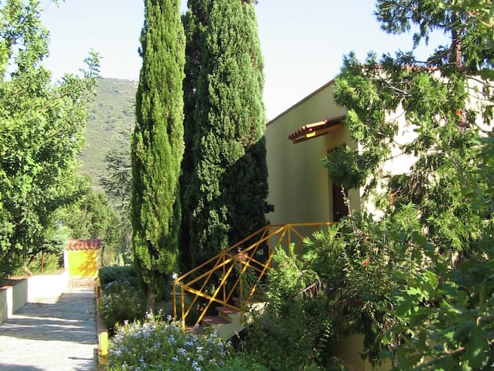 Maison Spacieuse à Palinuro - Palinuro