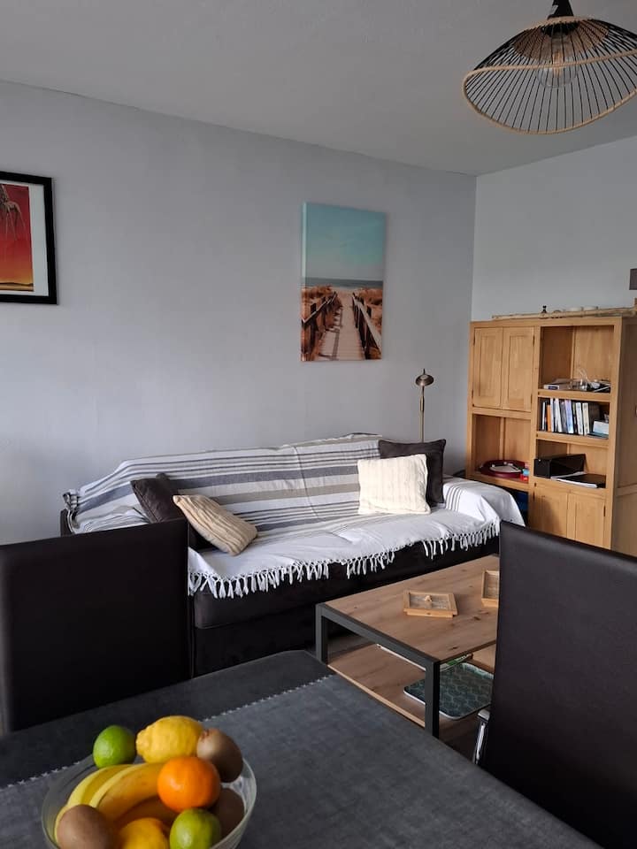 Appartement Seignosse
Joli T2 45 M2 Proche Plage - Seignosse