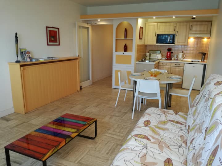 Studio 3 Adultes Vue Mer Plage à Pied Parking 2 * - Arcangues