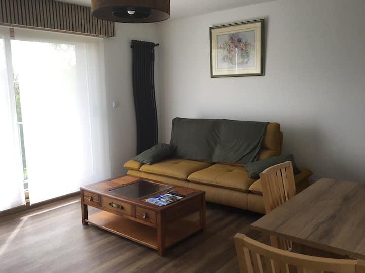 Appartement Lumineux Bien Situé Avec Parking Privé - Roscoff