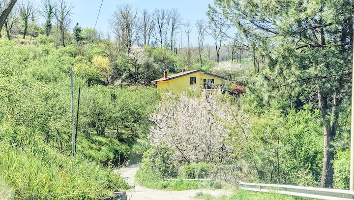 Casa Bosco 19 - Avellino