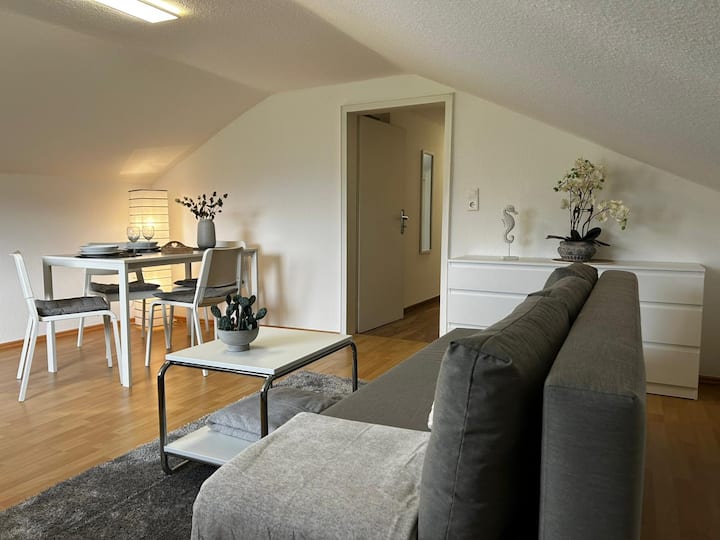 Gemütliche Dachgeschosswohnung In Schuttertal - Schuttertal