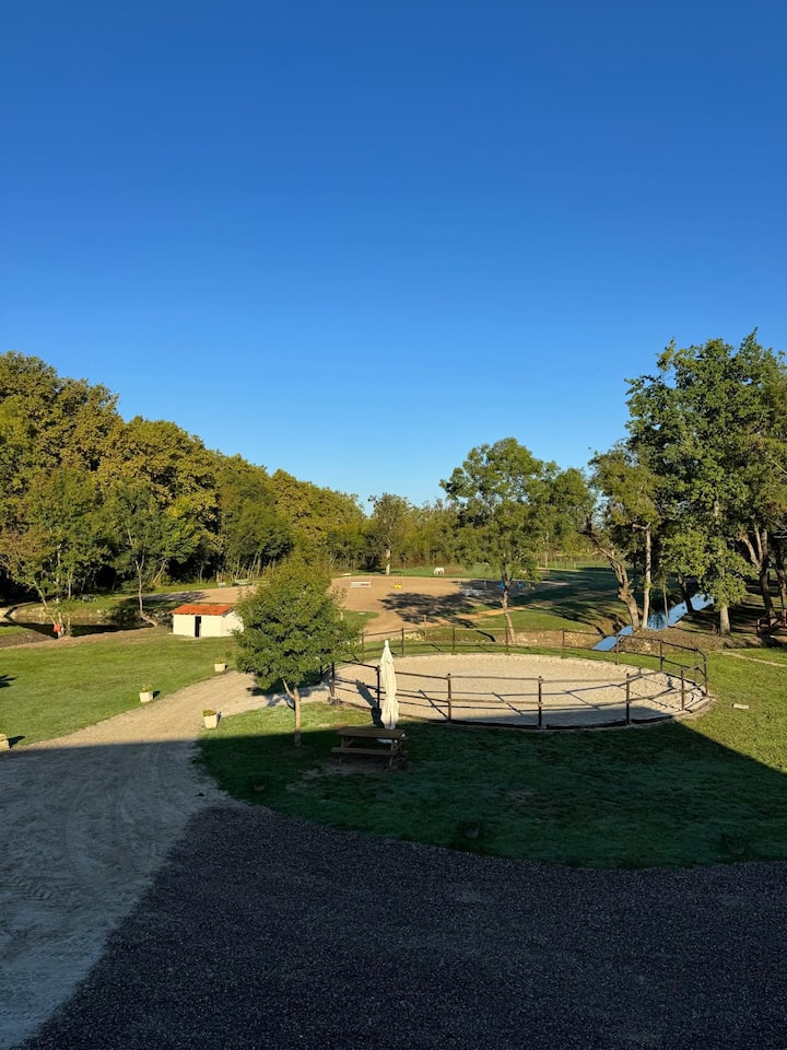 Gîte Au Cœur D'une éCurie - Blaye