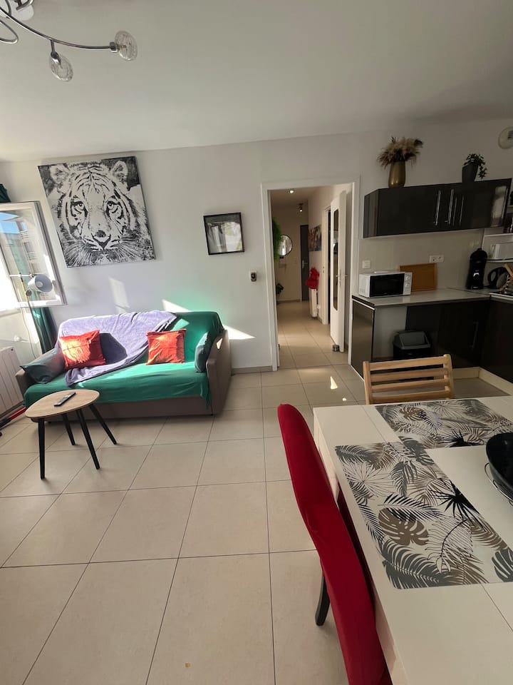 F2 Près D'ajaccio 4 Pers+animaux, Terrasse+garage - Ajaccio