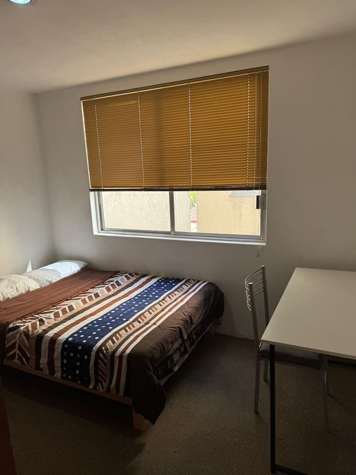 Lovely Apartment In Condesa For The World Cup - Mexico City