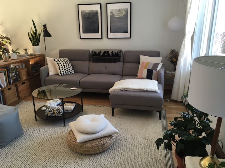 Appartement Lumineux Au Coeur Du Vieux-nord - Sherbrooke