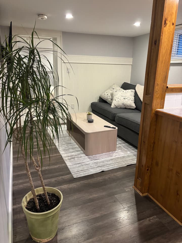 Private 1br Suite Near Downtown Kingston - Kingston