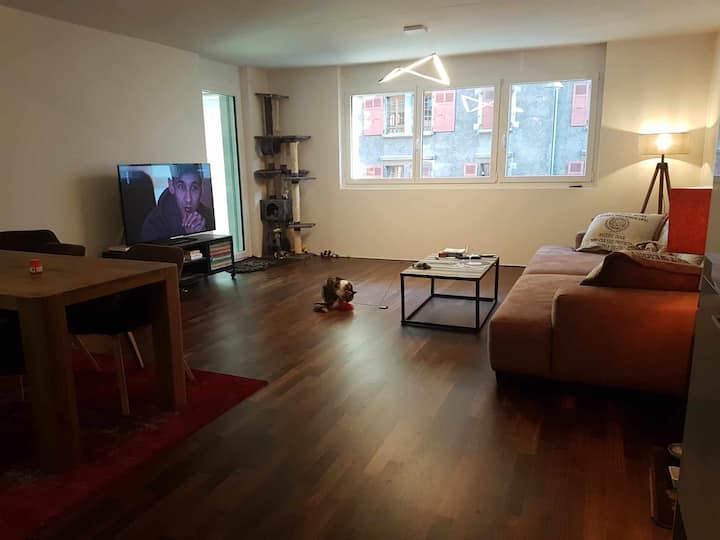 Grand Appartement Moderne Au Centre De Genève - Saint-Julien-en-Genevois