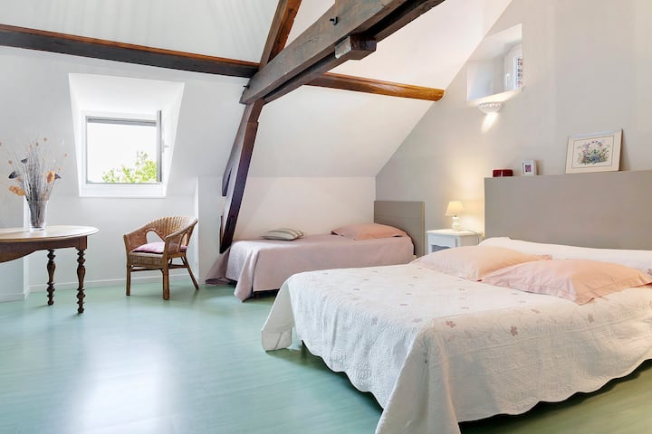 Chambre Verte - Vic-en-Bigorre