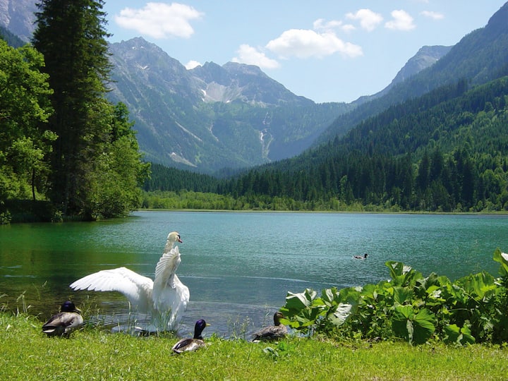 Sommerurlaub Wie Damals - Kleinarl
