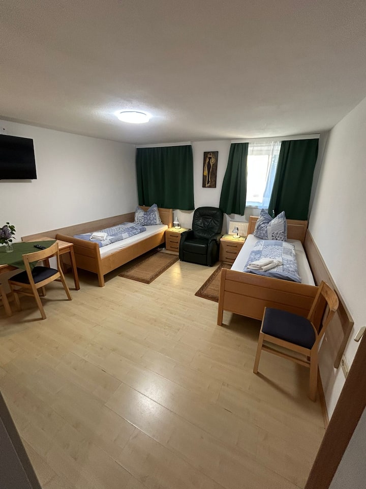 Sauberes Einfaches Studio - Wels