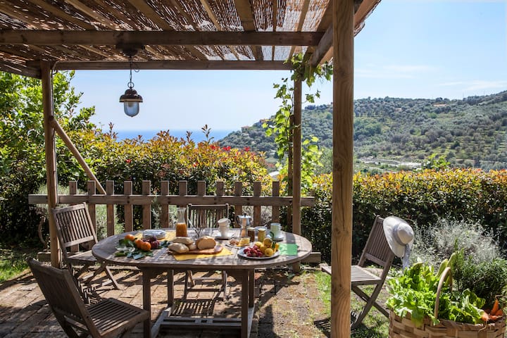 Casa In Pietra Tra Gli Ulivi Di Imperia - Imperia