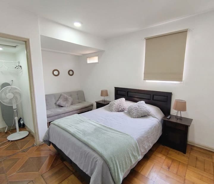 Bello Depto. Con 2 Habitaciones En Providencia - Providencia