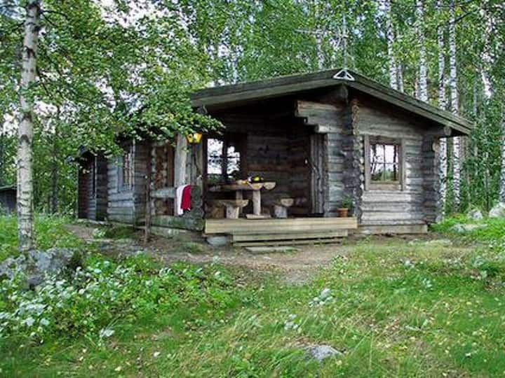 Mäntyniemi By Interhome - Asikkala