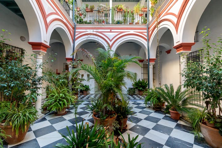 San Isidoro. 1 Bedroom In The Centre - Seville