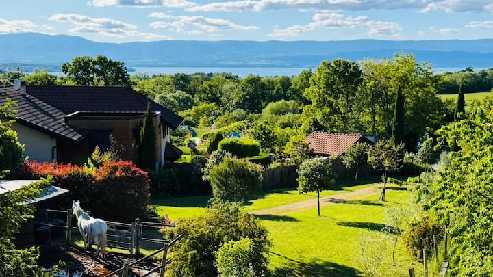 Superbe Maison Neuve - Vue Lac & Grand Confort - Yvoire