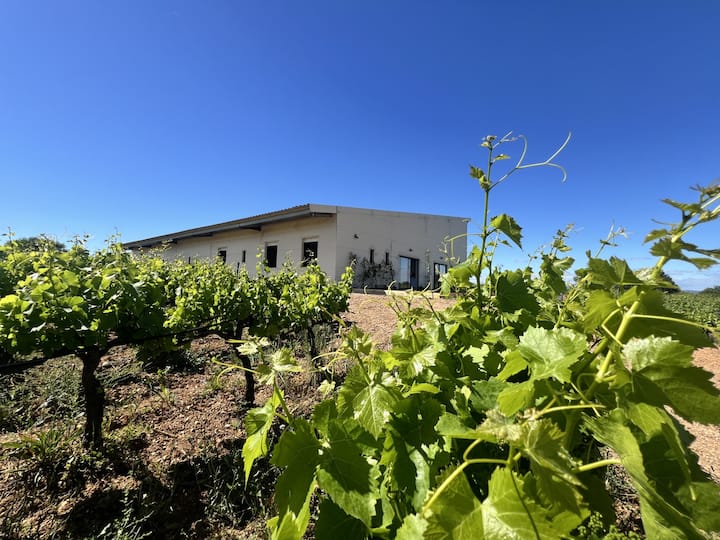 Grand Appartement Au Cœur Des Vignes - Béziers