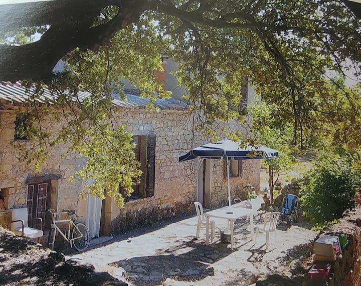 La Bergerie Et Ses Grands Chênes - Montauroux