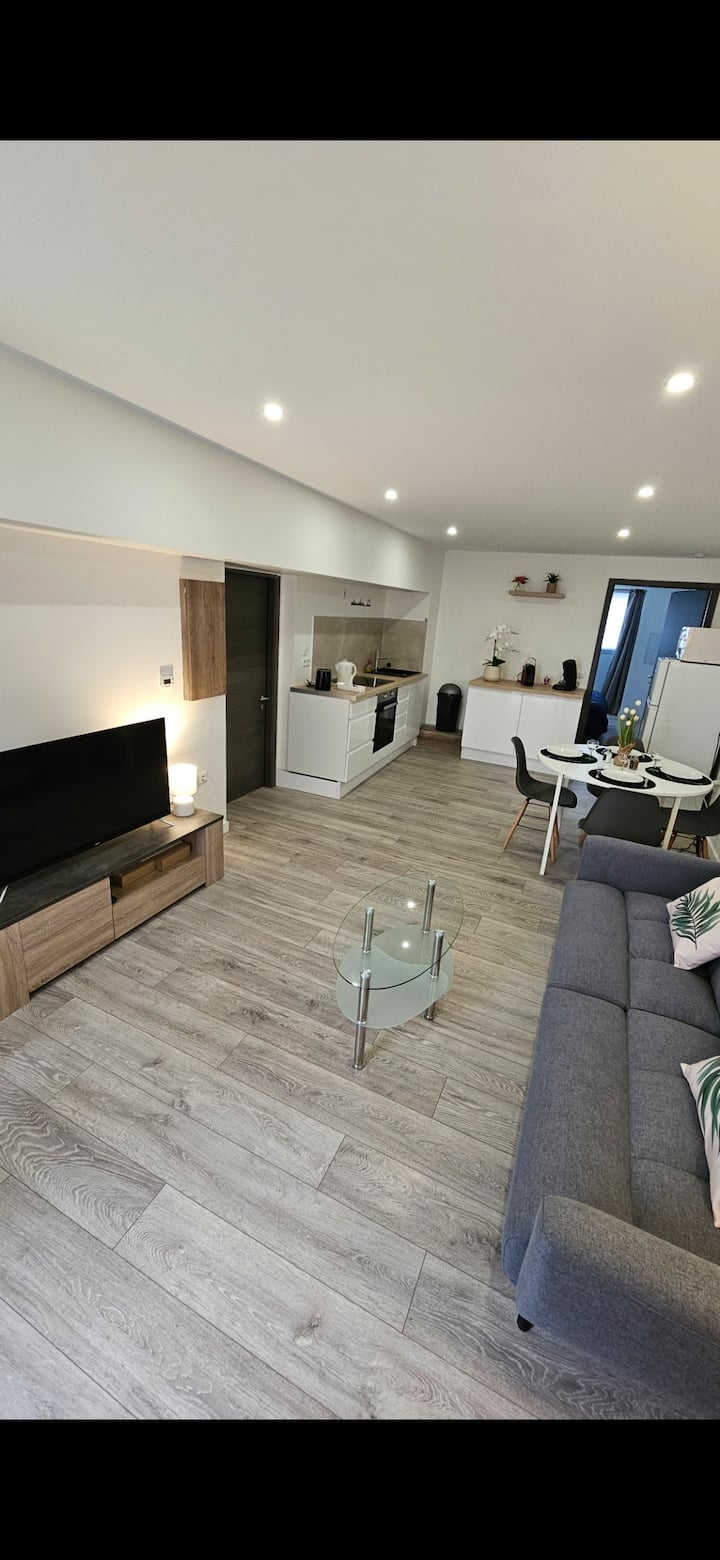 Bel Appartement, Accès Pmr, Au Centre Historique. - Toul