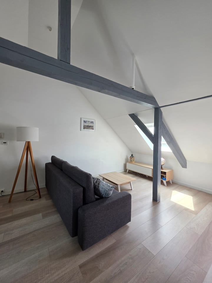 Cosy Apartment Close To Strasbourg City Center - Bischheim