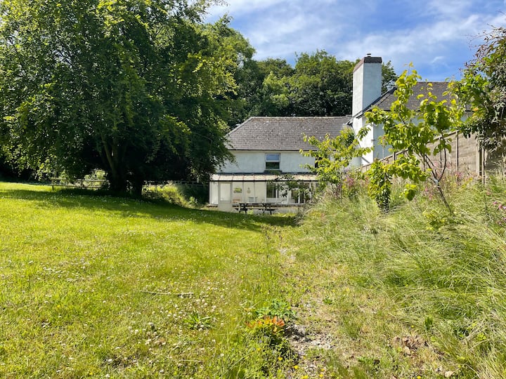 Delightful, Secluded Coastal Cottage - Cardigan