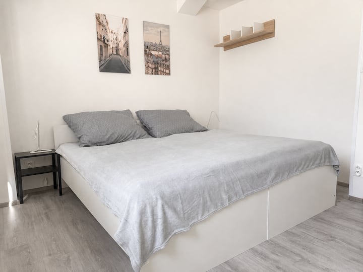 Old Town Apartment - Brno
