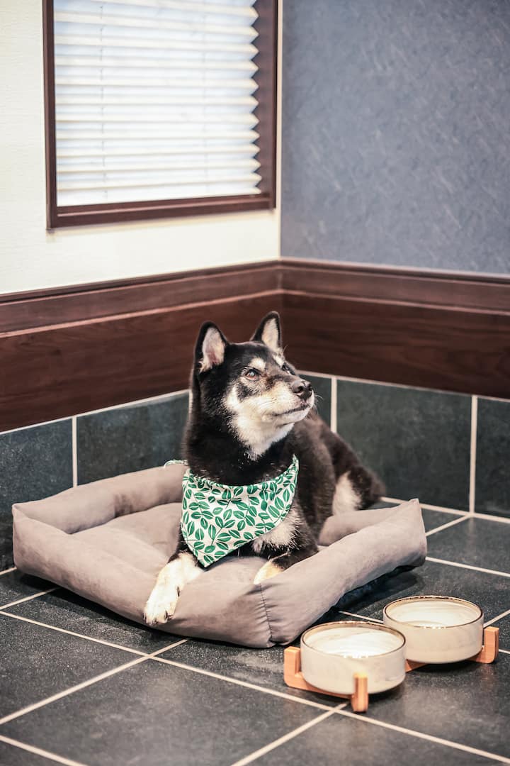 Haneda 15 Min|machiya House|pet Ok|tokyo 6 Guests - Kawasaki