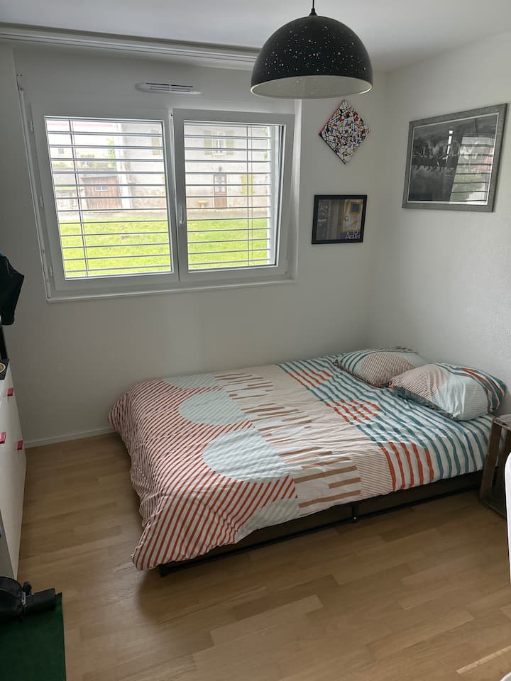 Chambre Avec Salle De Douche Et Toilettes Privés - Nyon