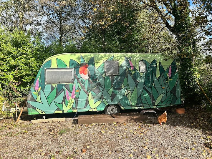 Perfect Pit-stop: Robin - Cork