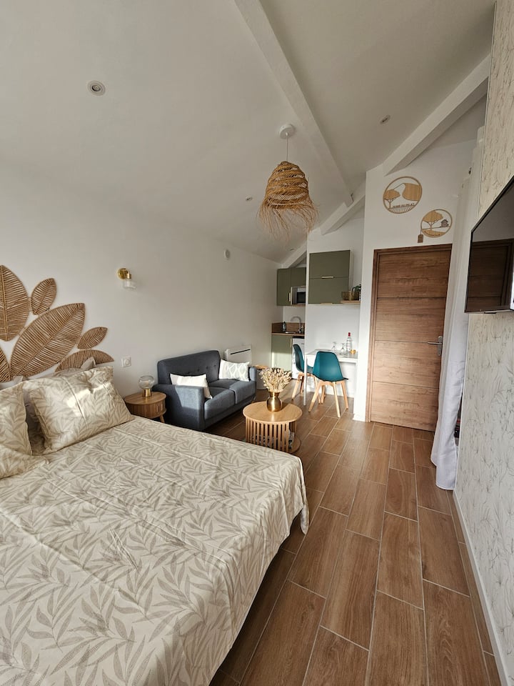 Studio.gujan-mestras - Bassin d'Arcachon