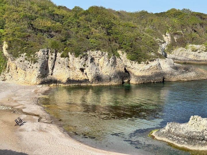 Sea And Jungle - Şile