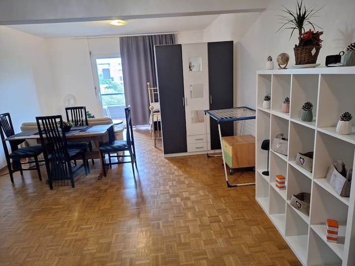 Bright & Cozy Studio In Minusio. Steps From Lake. - Minusio