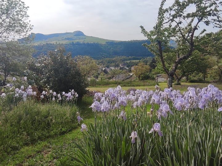 Maisonnette De Vignes Avec Vue Imprenable - Marvejols