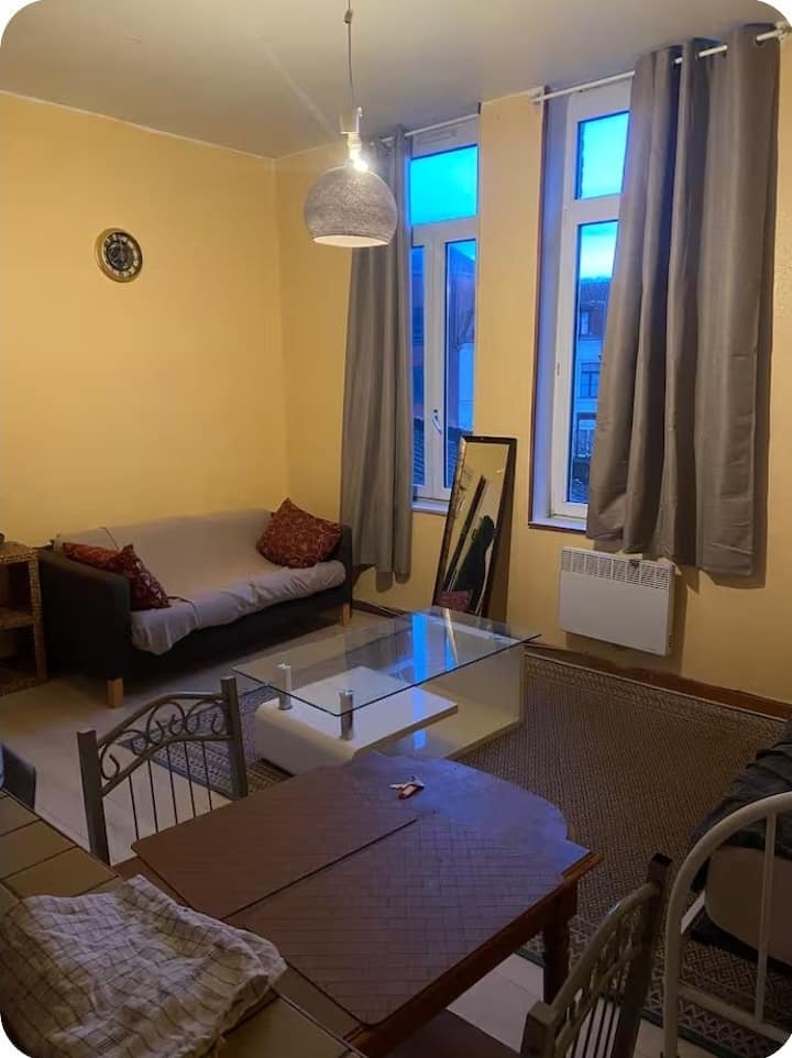 Studio Spacieux Sur Lille - Villeneuve-d'Ascq