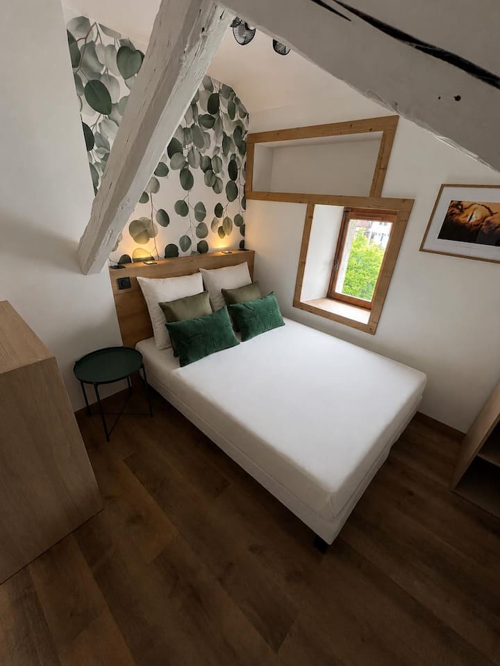 Appartement Sous Les Toits - Bonneville