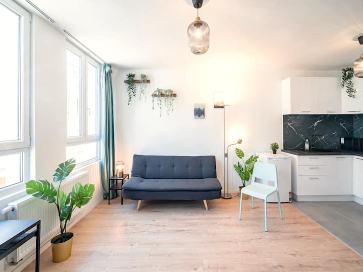 Appartement Confortable Dans Le Centre D'anvers - Antwerp
