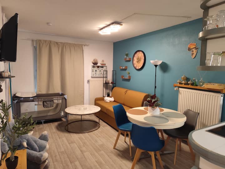Proche Centre/4 Personnes/ Parking Privé Dans Cour - Colmar