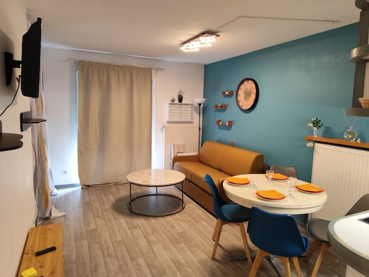 Proche Centre/4 Personnes/ Place De Parking Privée - フランス コルマール