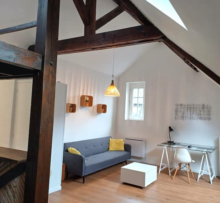 Loft Cosy Avec Mezzanine Au Cœur Du Centre-ville - Tours