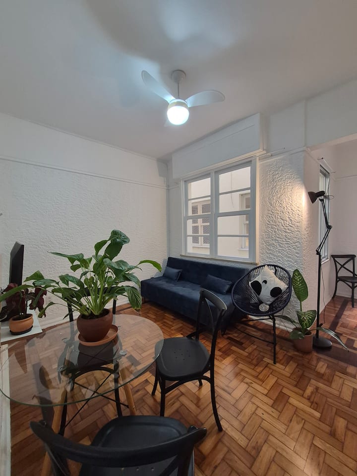Apto 2 Quartos E Varanda Balcão Na Lapa/glória - Glória